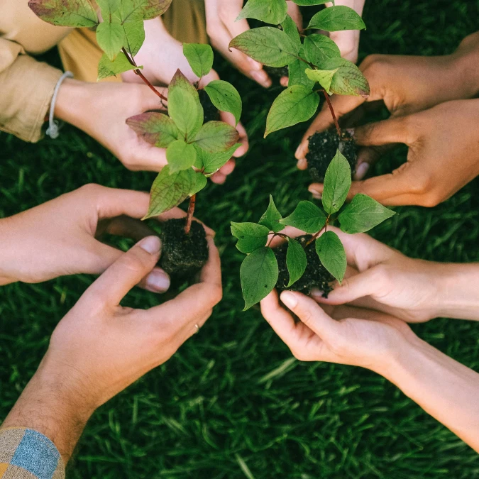 Current Volunteering Opportunities - One Walsall